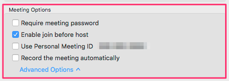 Zoom Meetings | UR Courses: Guides